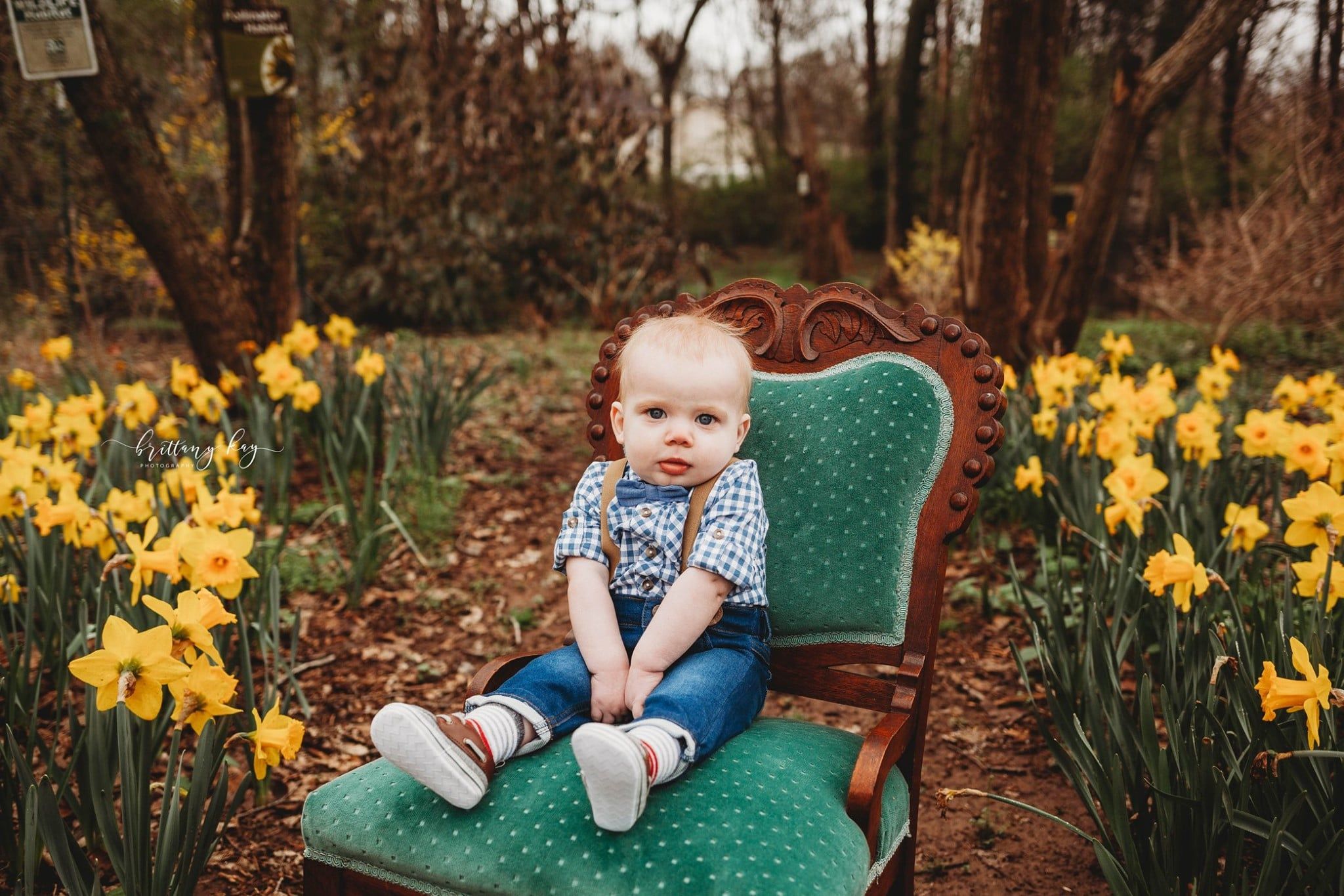 Spring 7 – Sinking Creek Farm